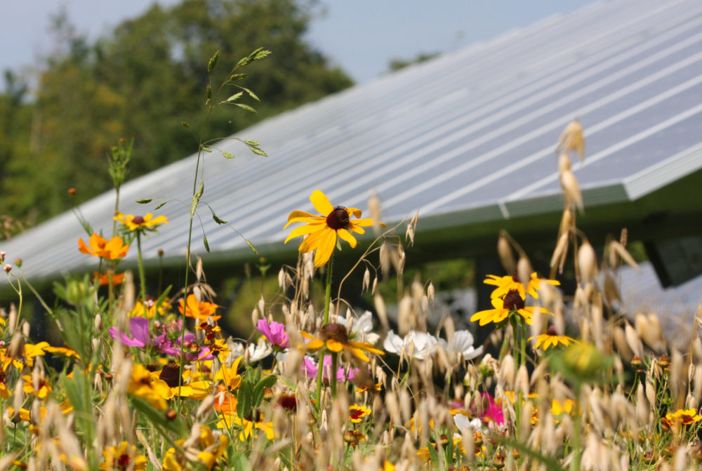 Contact - Trajectory Energy Partners